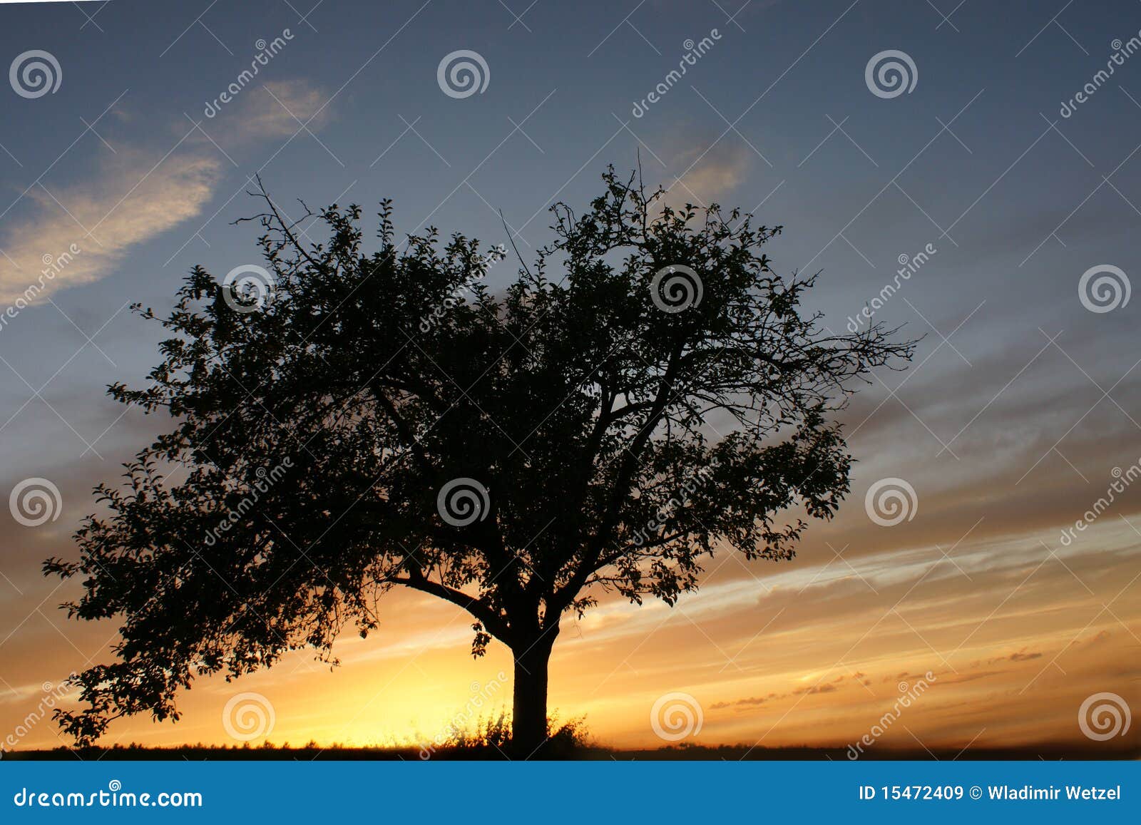 Lone tree at sunset stock image. Image of scenic, landscape - 15472409