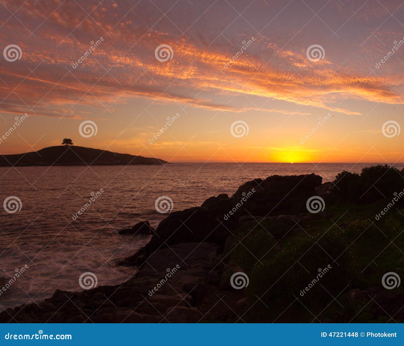 Lone Tree at Sunset stock photo. Image of distant, water - 47221448