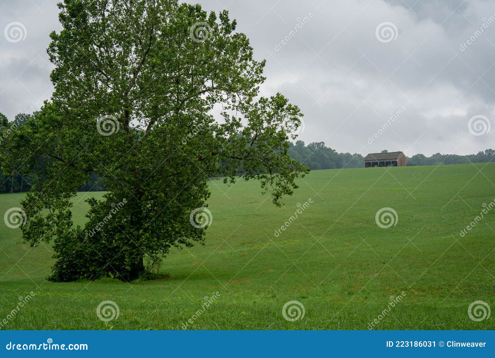Lone Tree in Wide Open Field Stock Image - Image of meadow, farming ...