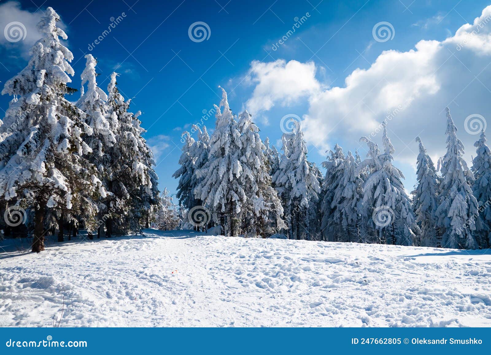 View from the Top of Mountain on Forest in Frost and Low Cloud. Stock ...