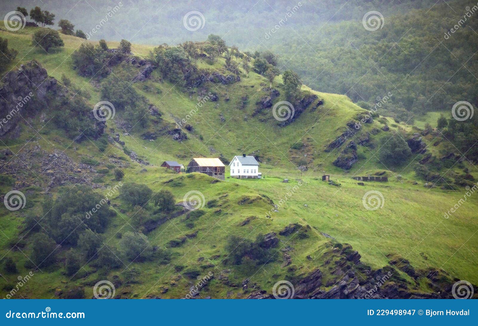 Lone White Cabin in the Forest. Stock Image - Image of traditional ...