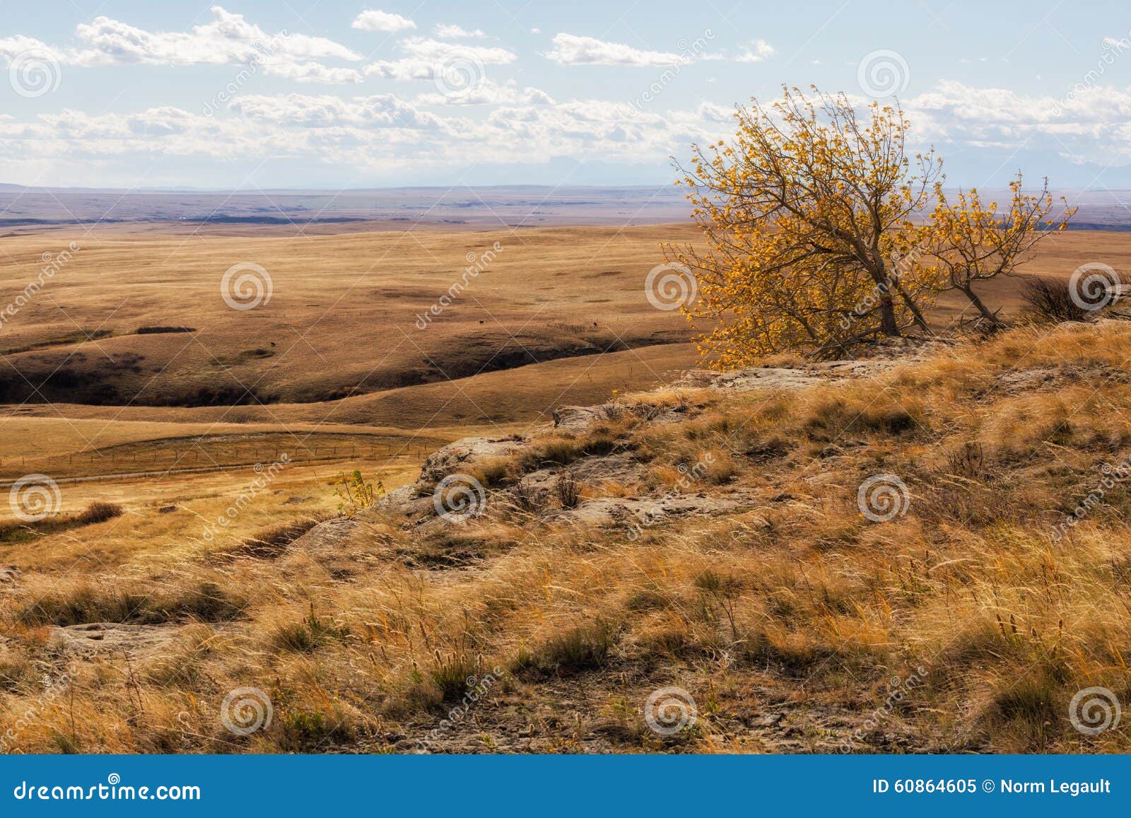 Royalty Free Images, Cartoons, Illustrations And Photos Designed By ...