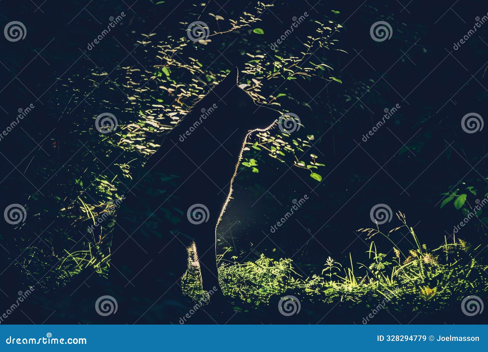 Lone Wolf Silhouette in the Deep Dark Woods at Night Stock Illustration ...