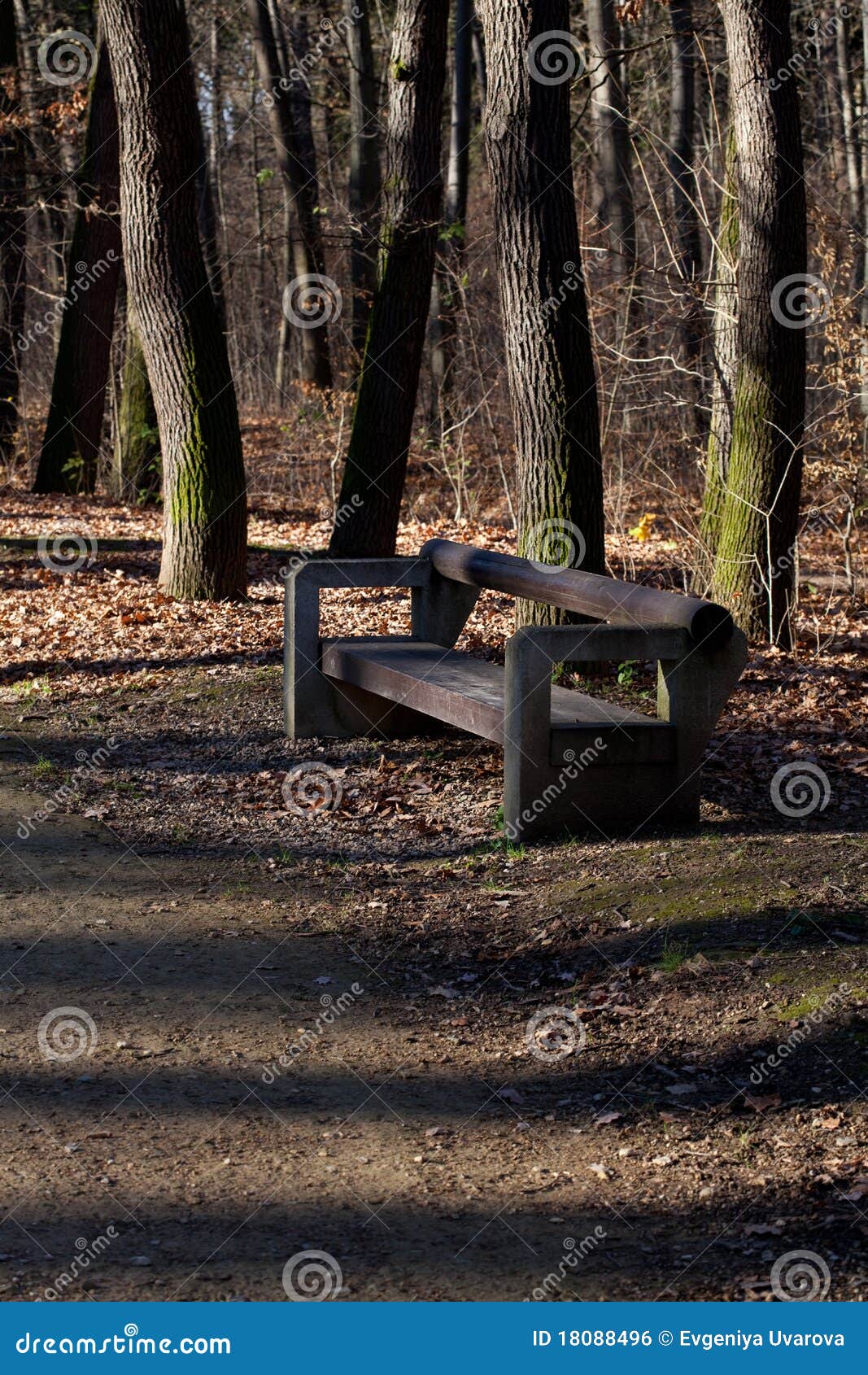 Lone wooden bench stock photo. Image of pursuit, copy - 18088496