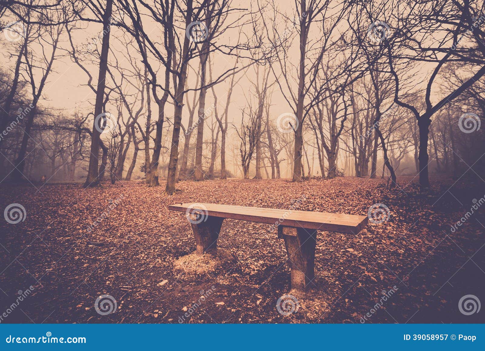 Loneliness stock image. Image of beautiful, foliage, bench - 39058957