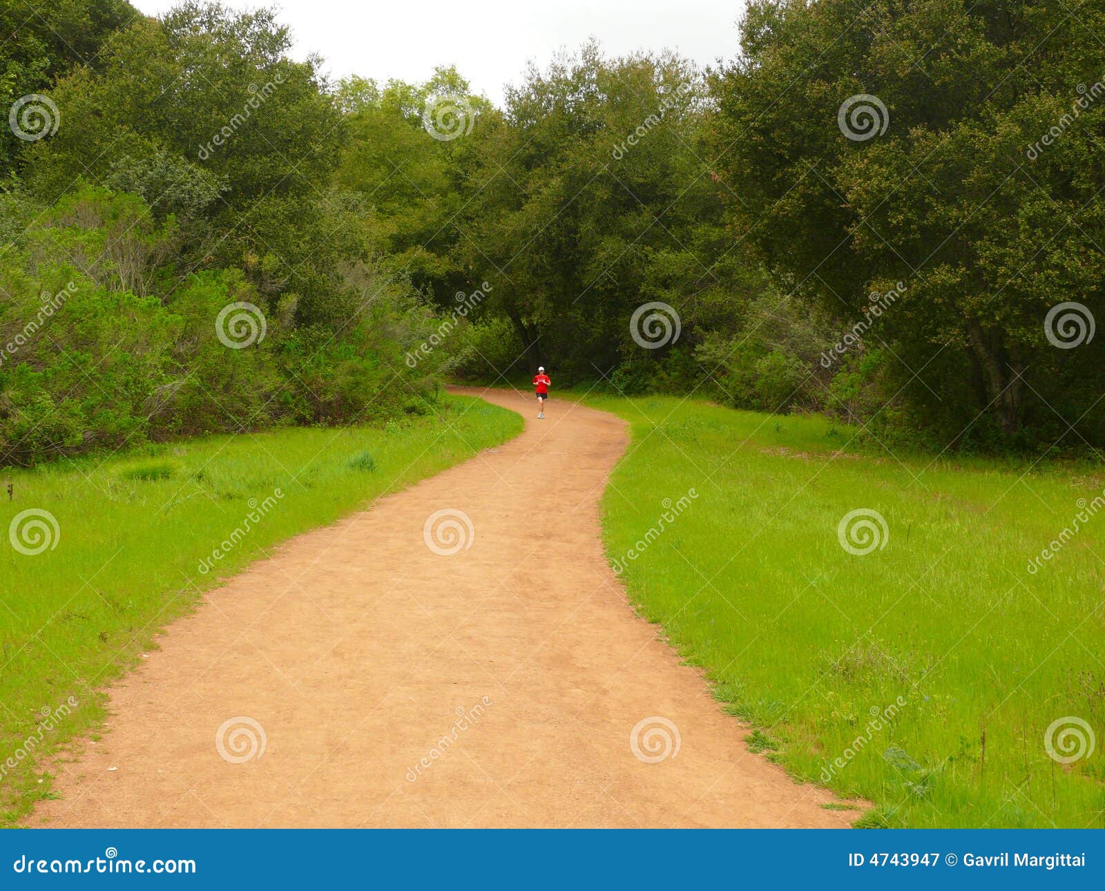 The Loneliness of the Long Distance Runner Stock Image - Image of ...