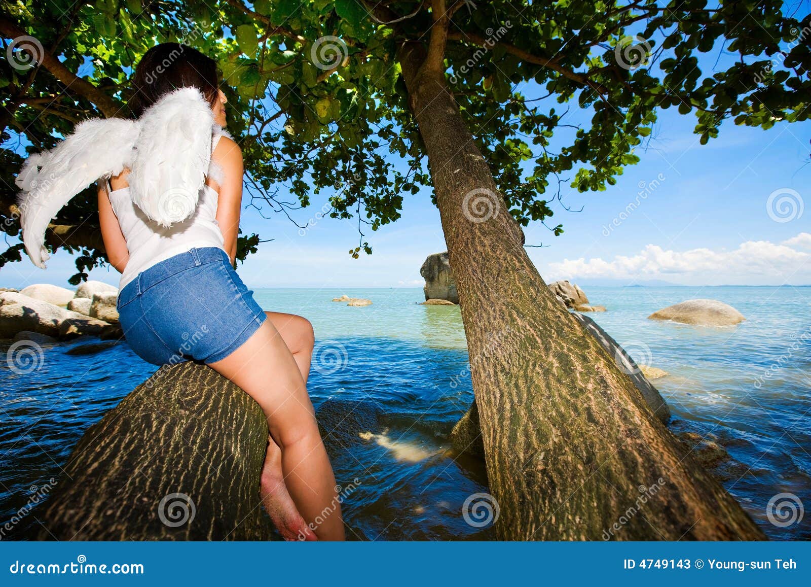 Lonely Angel Hiding on a Tree by the Sea Stock Image - Image of beach ...