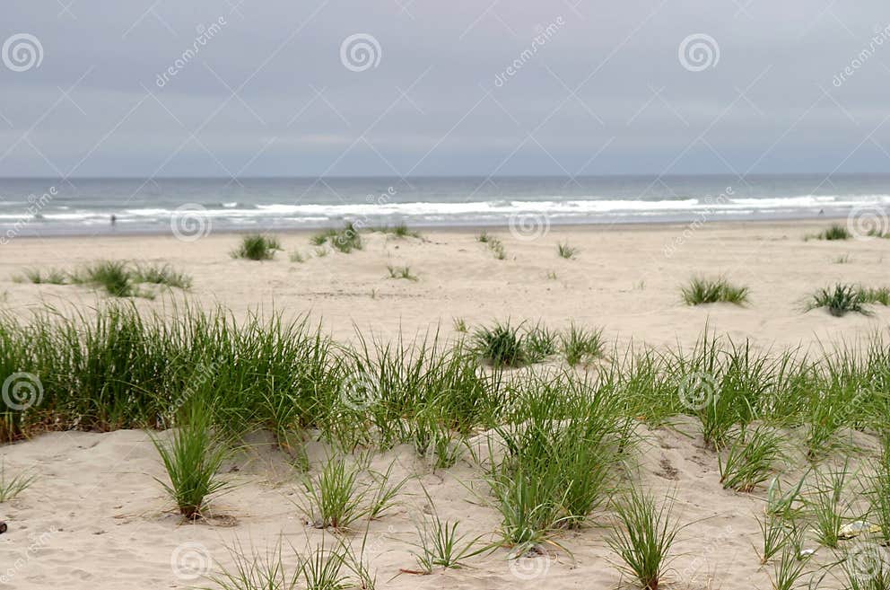 Lonely Beach stock photo. Image of landscape, sand, beach - 11005484