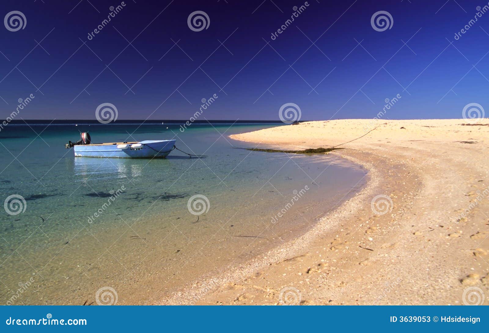 Lonely beach stock image. Image of vacations, beach, ocean - 3639053