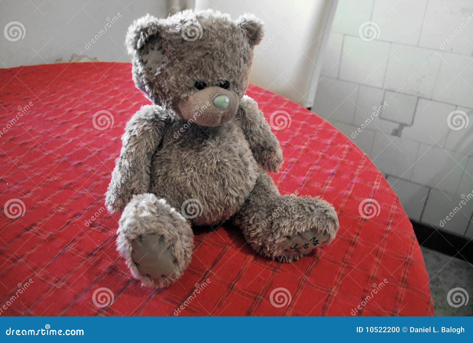Lonely Bear editorial image. Image of feeling, empty - 10522200