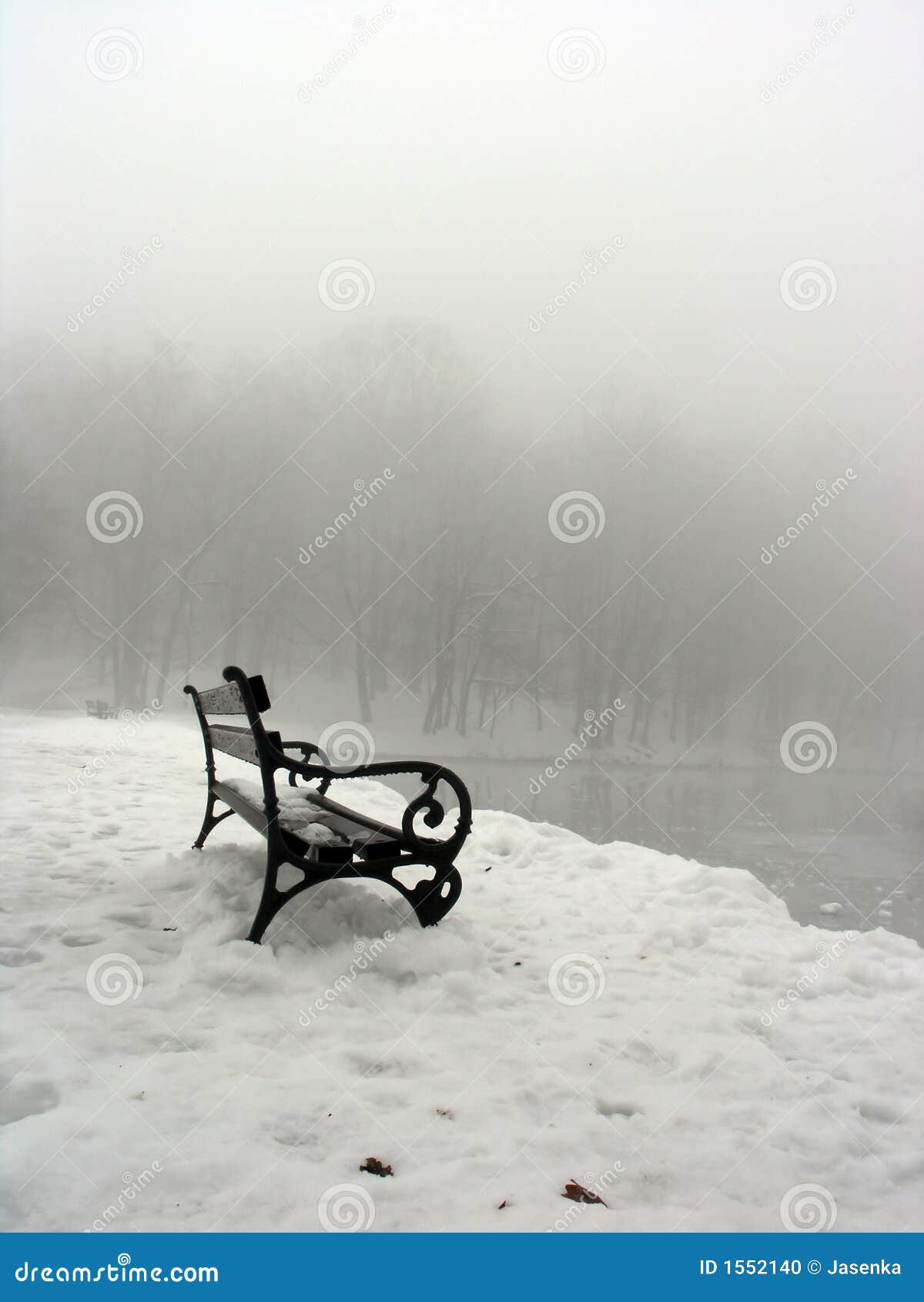 Lonely bench stock photo. Image of path, forest, peaceful - 1552140