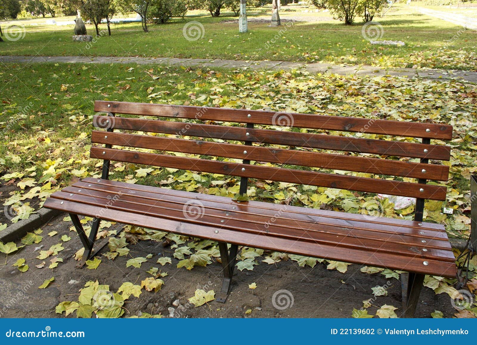 A lonely bench stock photo. Image of cover, foliage, plant - 22139602