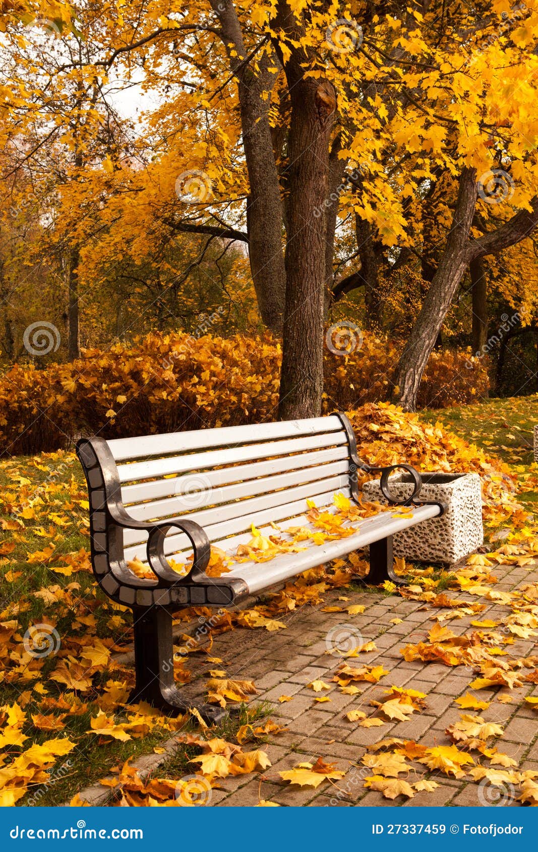 Lonely bench stock image. Image of gorgeous, lonely, bench - 27337459