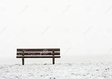 Lonely bench stock photo. Image of peace, alone, abandoned - 8042774