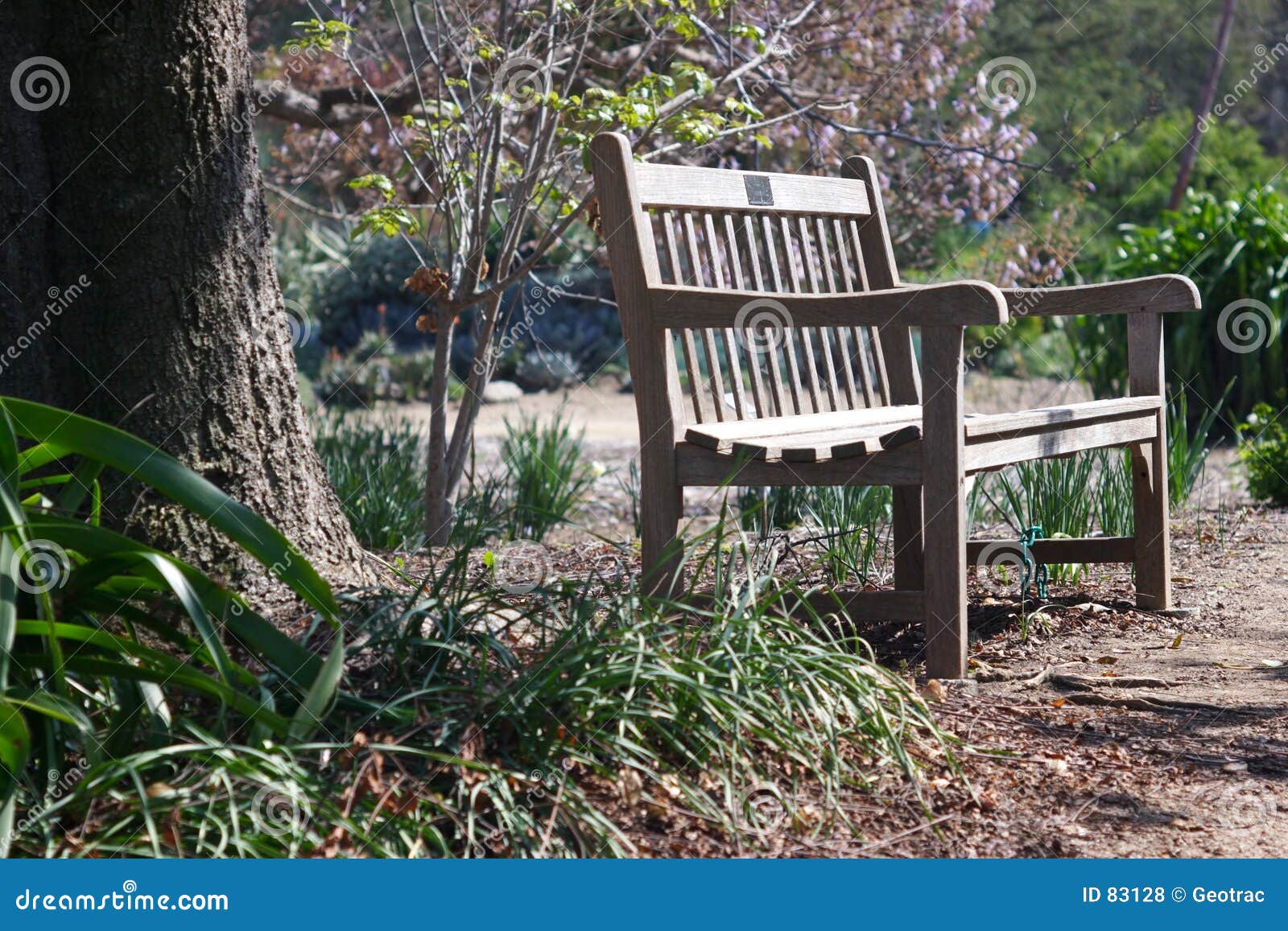 Lonely Bench stock photo. Image of wooden, concept, bench - 83128