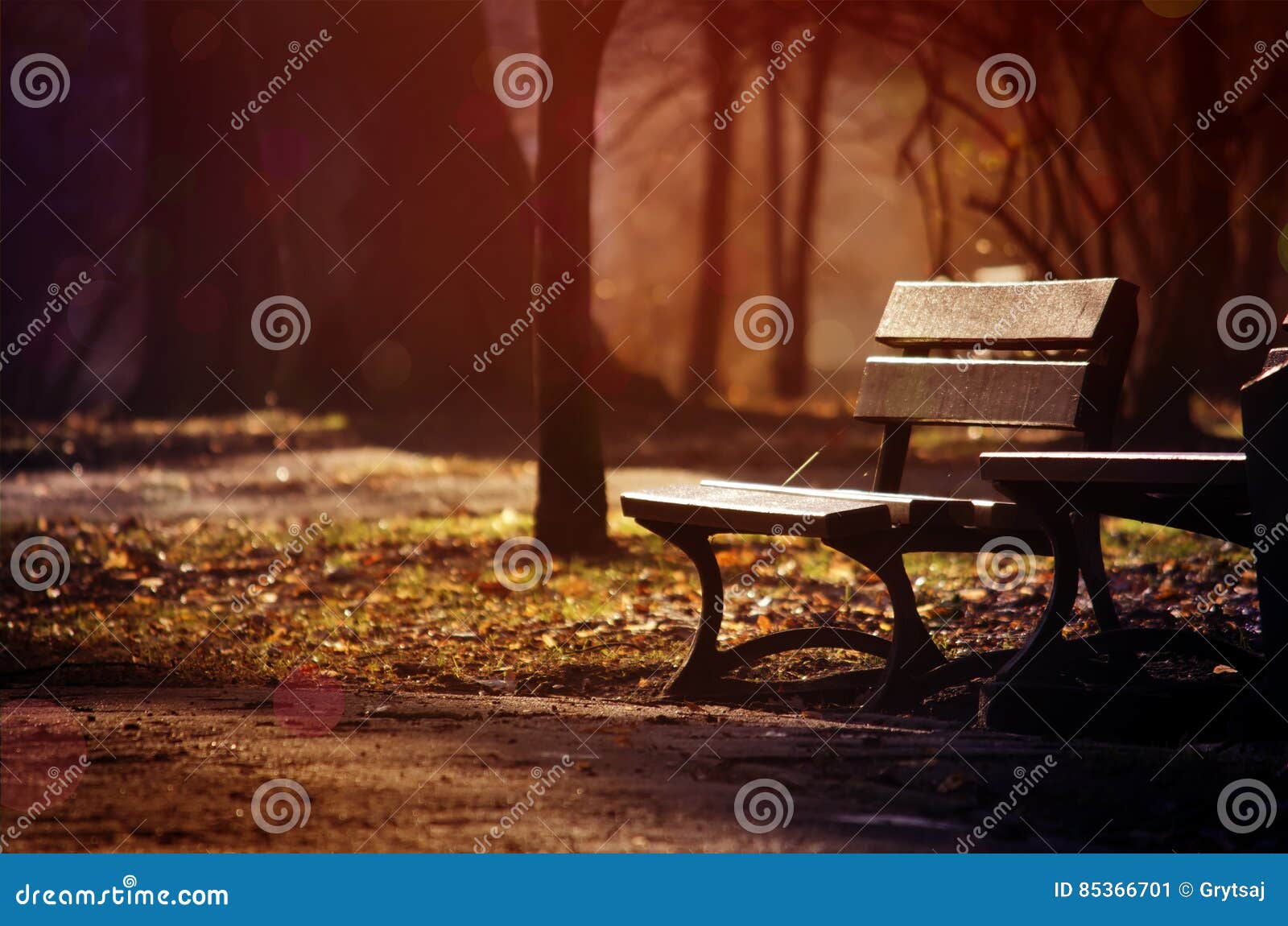 Lonely Bench in the Evening Park Stock Image - Image of wood, bright ...