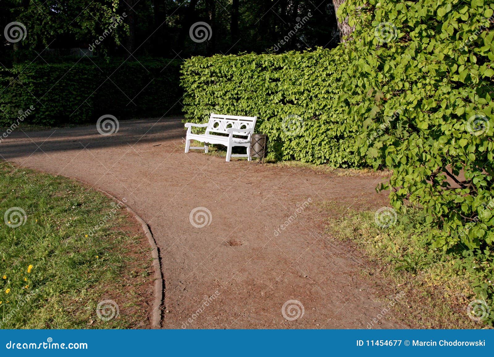 Lonely bench in garden . stock image. Image of mating - 11454677