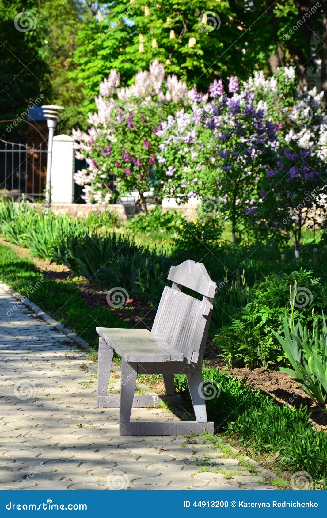 Lonely bench in the garden stock photo. Image of path - 44913200