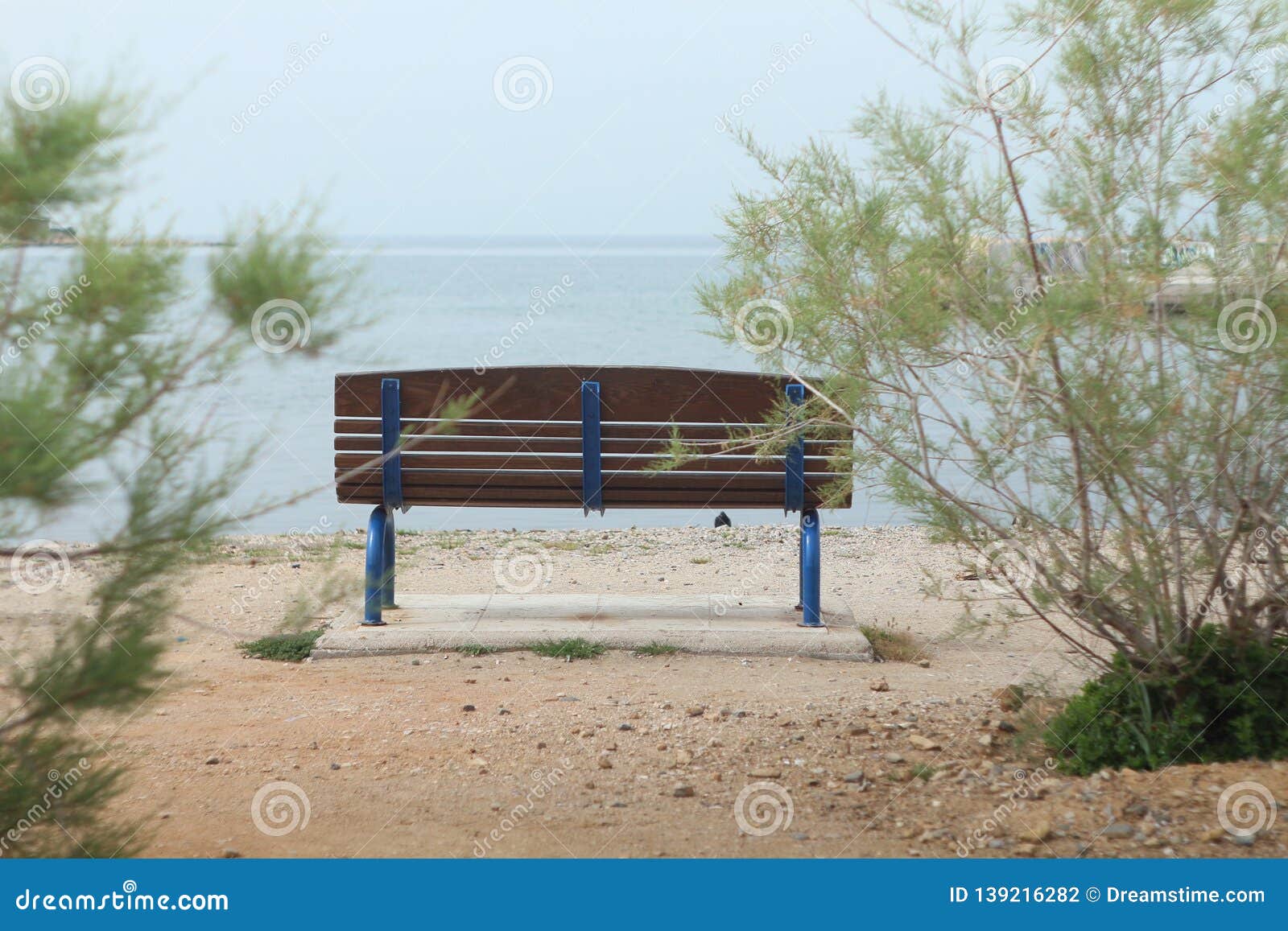 Lonely bench on the beach stock photo. Image of landscapes - 139216282