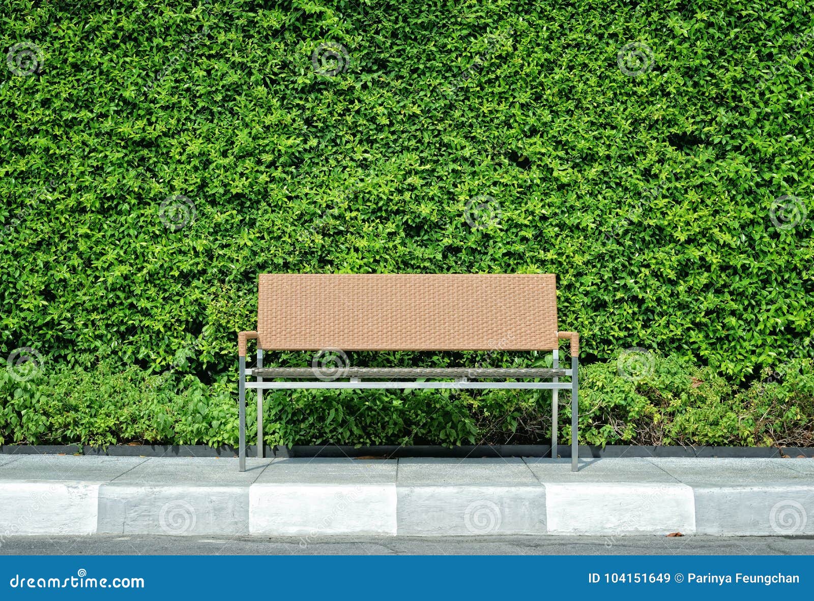Lonely bench in the park stock image. Image of nature - 104151649