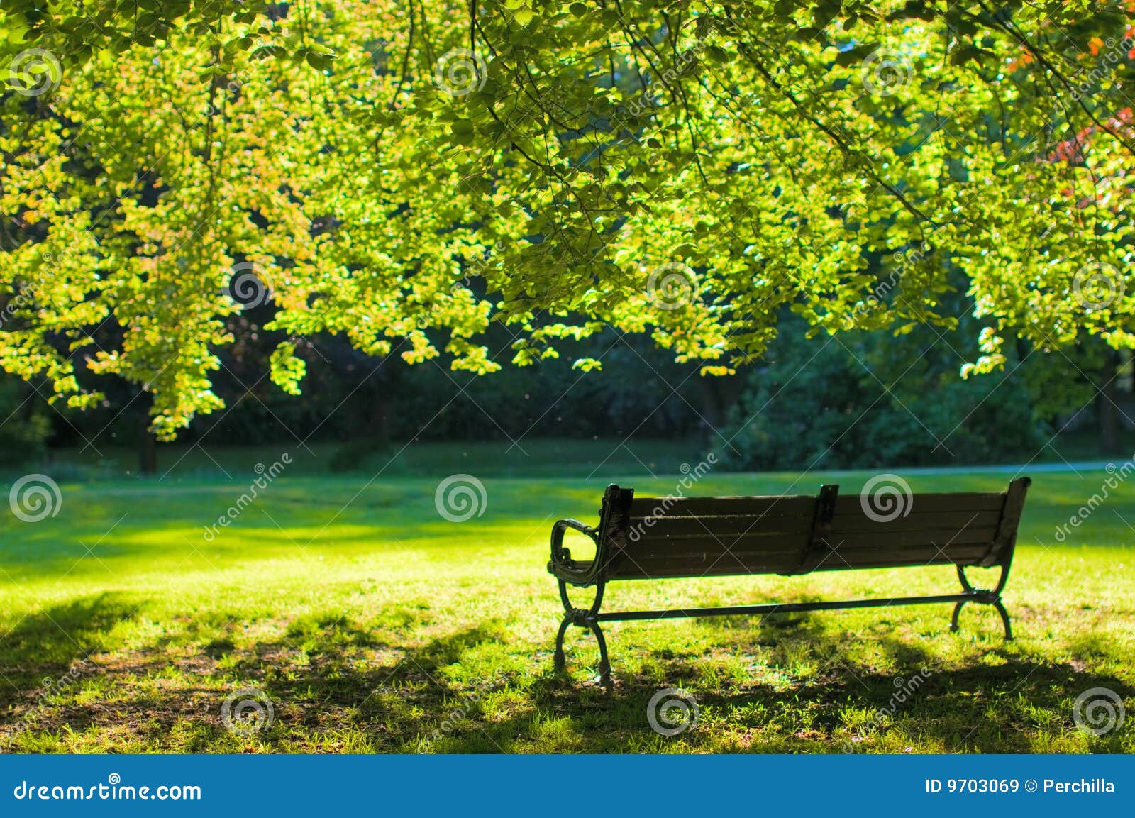 Lonely bench on the lawn stock image. Image of lonely - 9703069