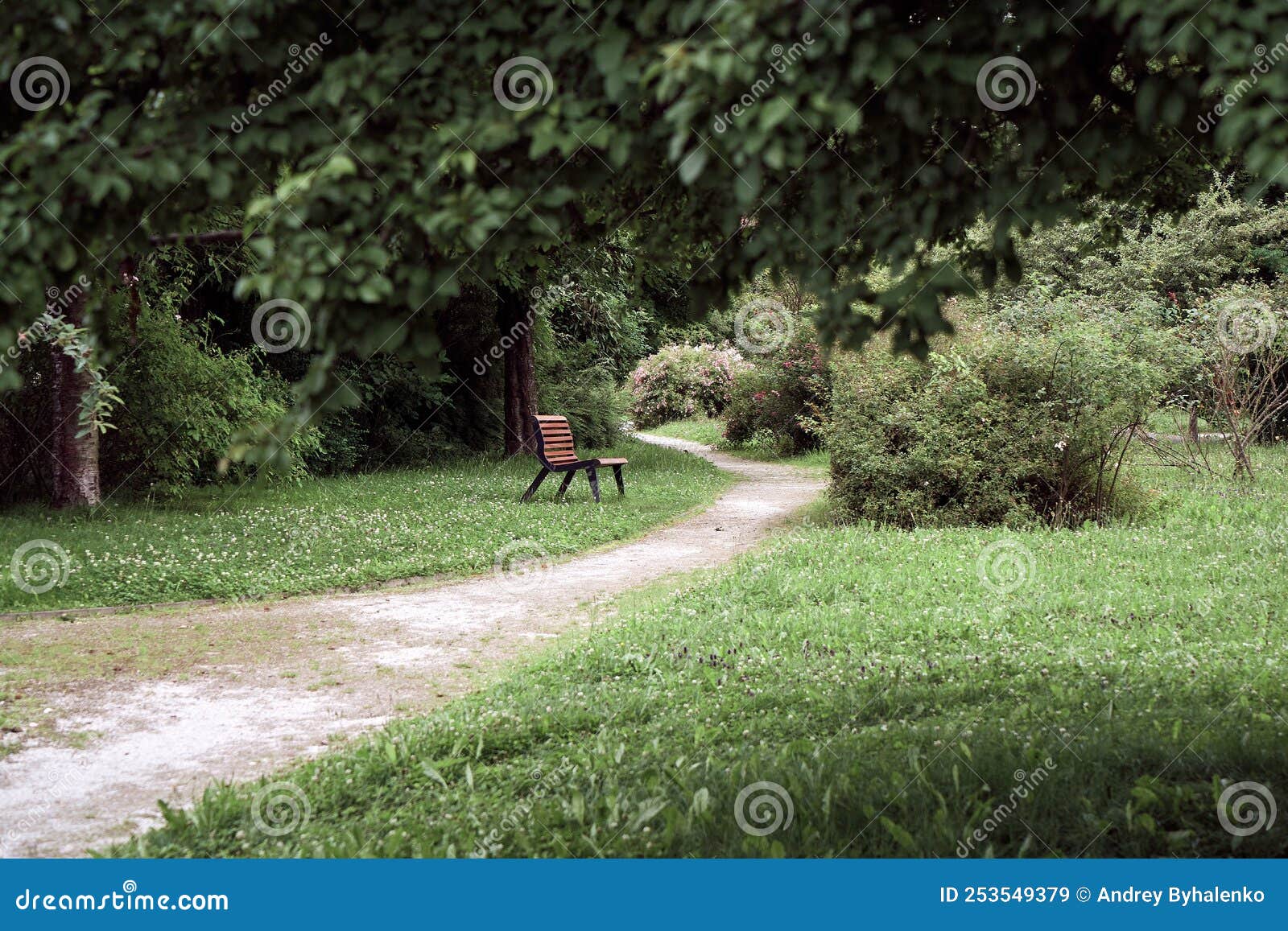 Lonely Bench N the Nature Park Stock Image - Image of outdoor, grass ...