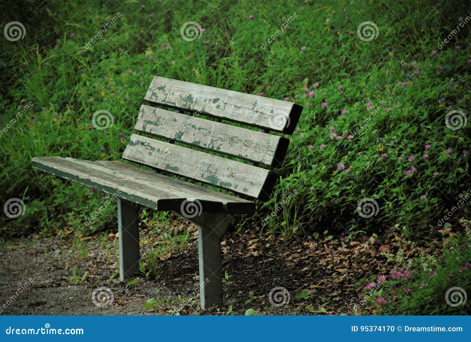 Lonely bench stock photo. Image of backgrounds, abundance - 95374170