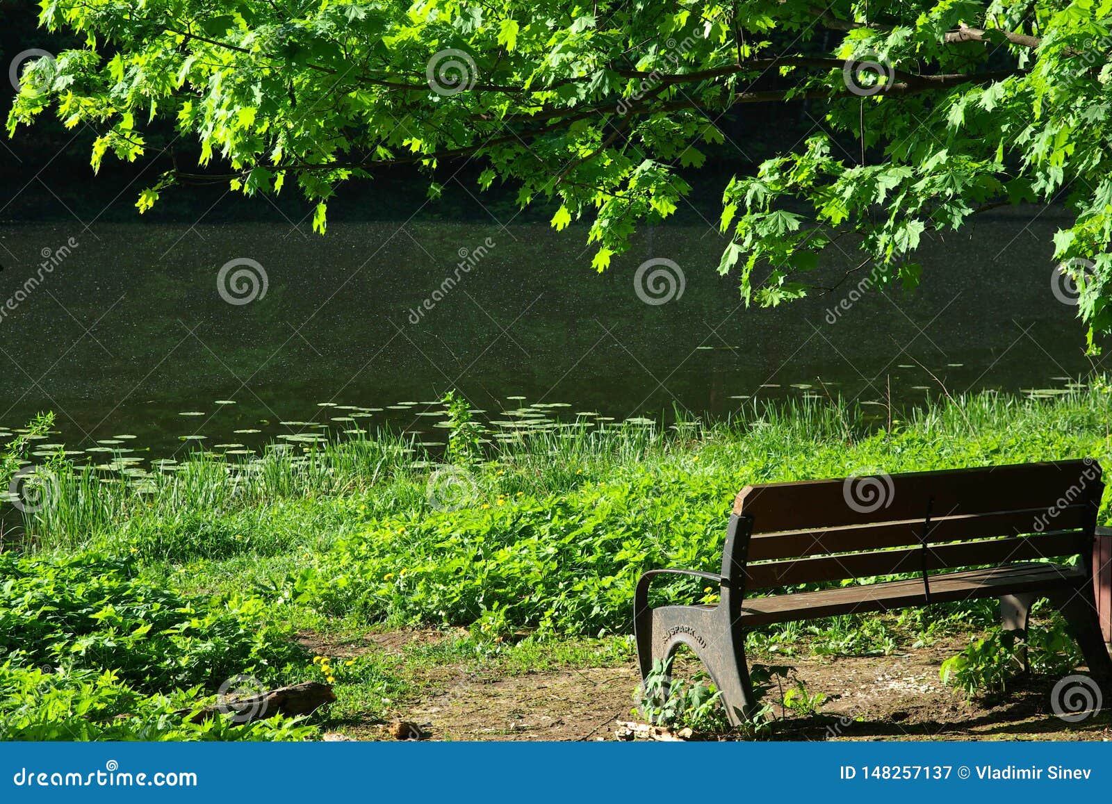 Lonely bench in park stock image. Image of quietness - 148257137