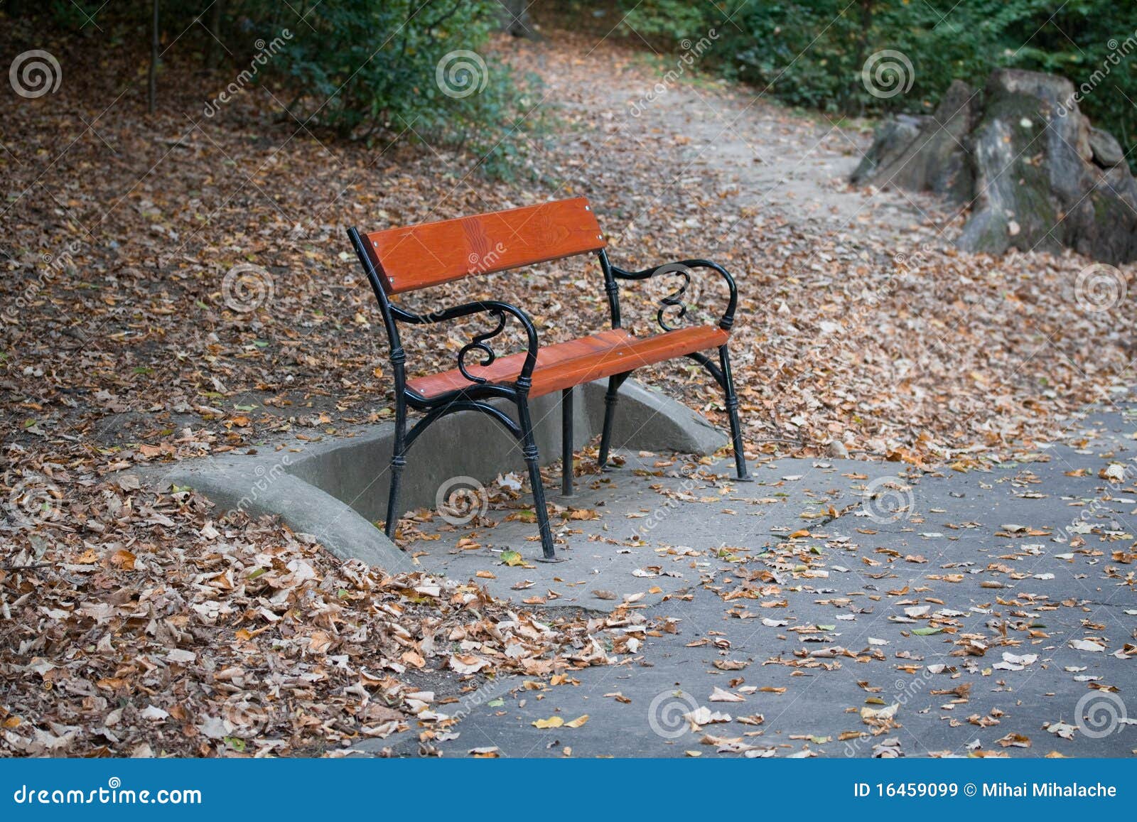 Lonely bench in the park stock image. Image of alone - 16459099