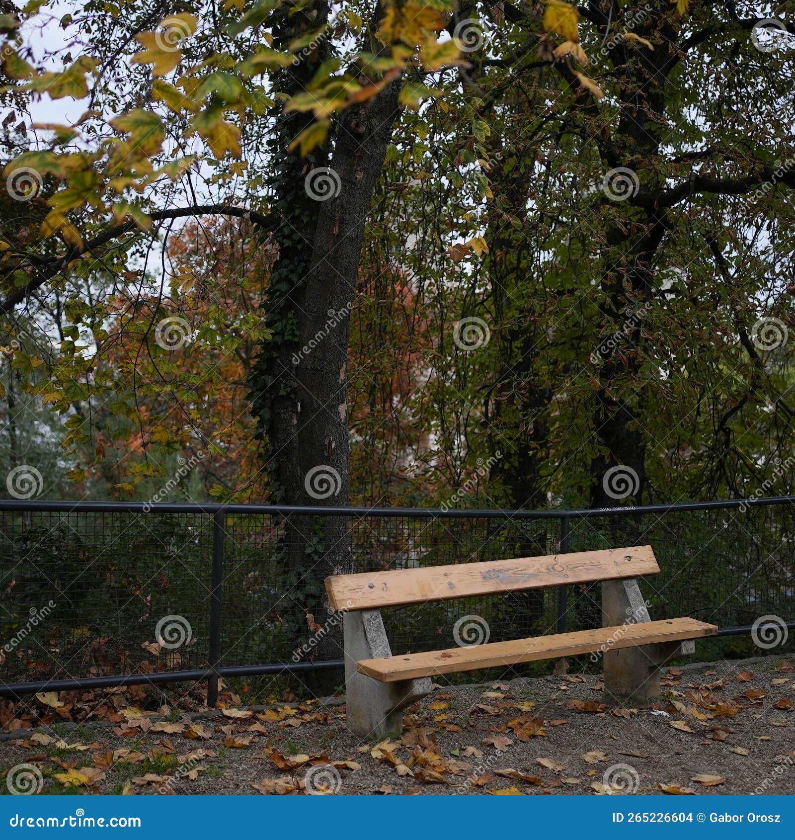 Lonely Bench in a Park in Autumn Stock Photo - Image of outdoor, idea ...
