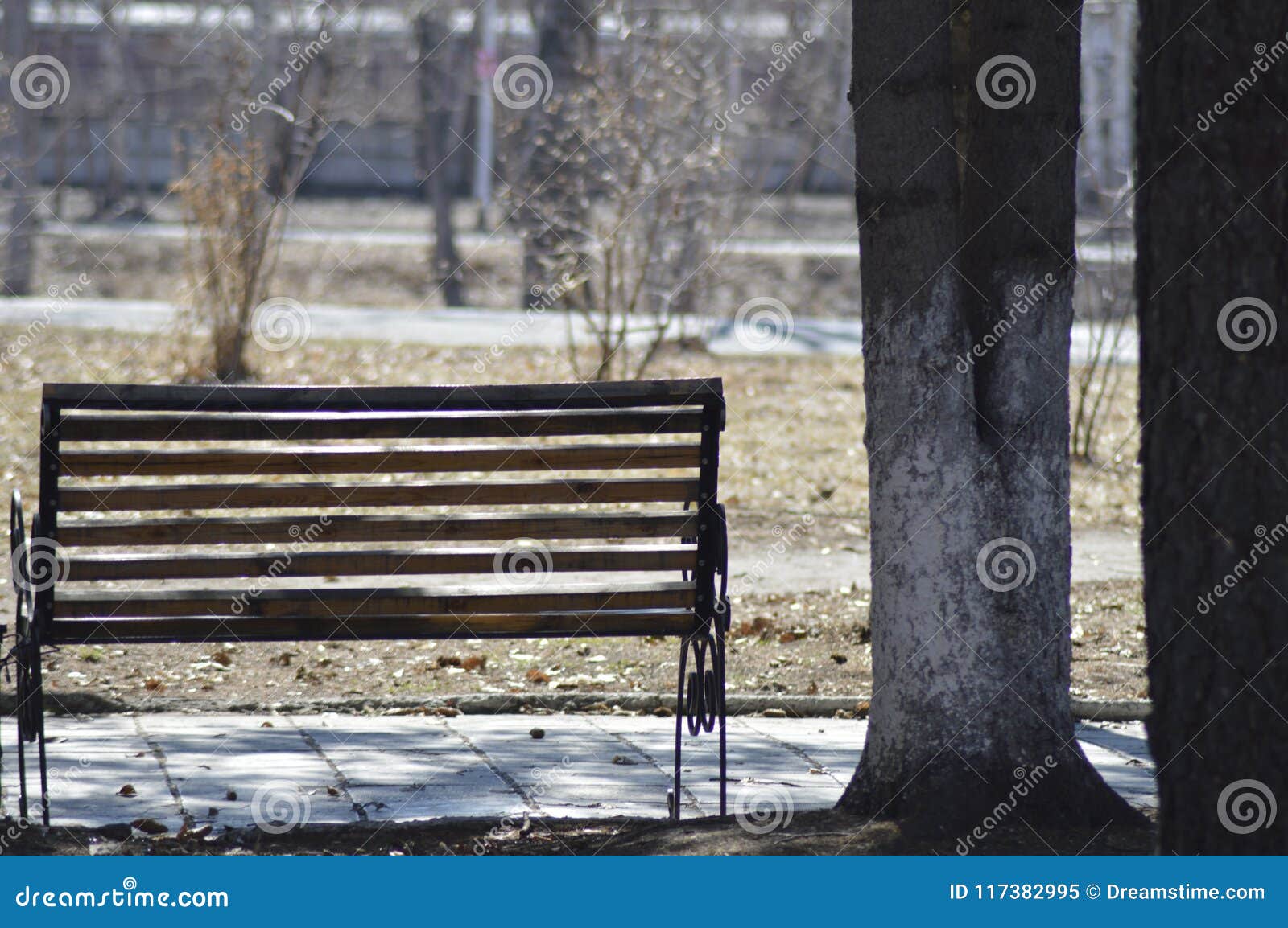Lonely bench in the park stock image. Image of early - 117382995