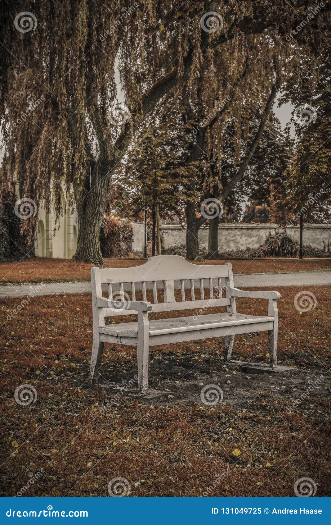 Lonely Bench in a Park stock image. Image of lonely - 131049725