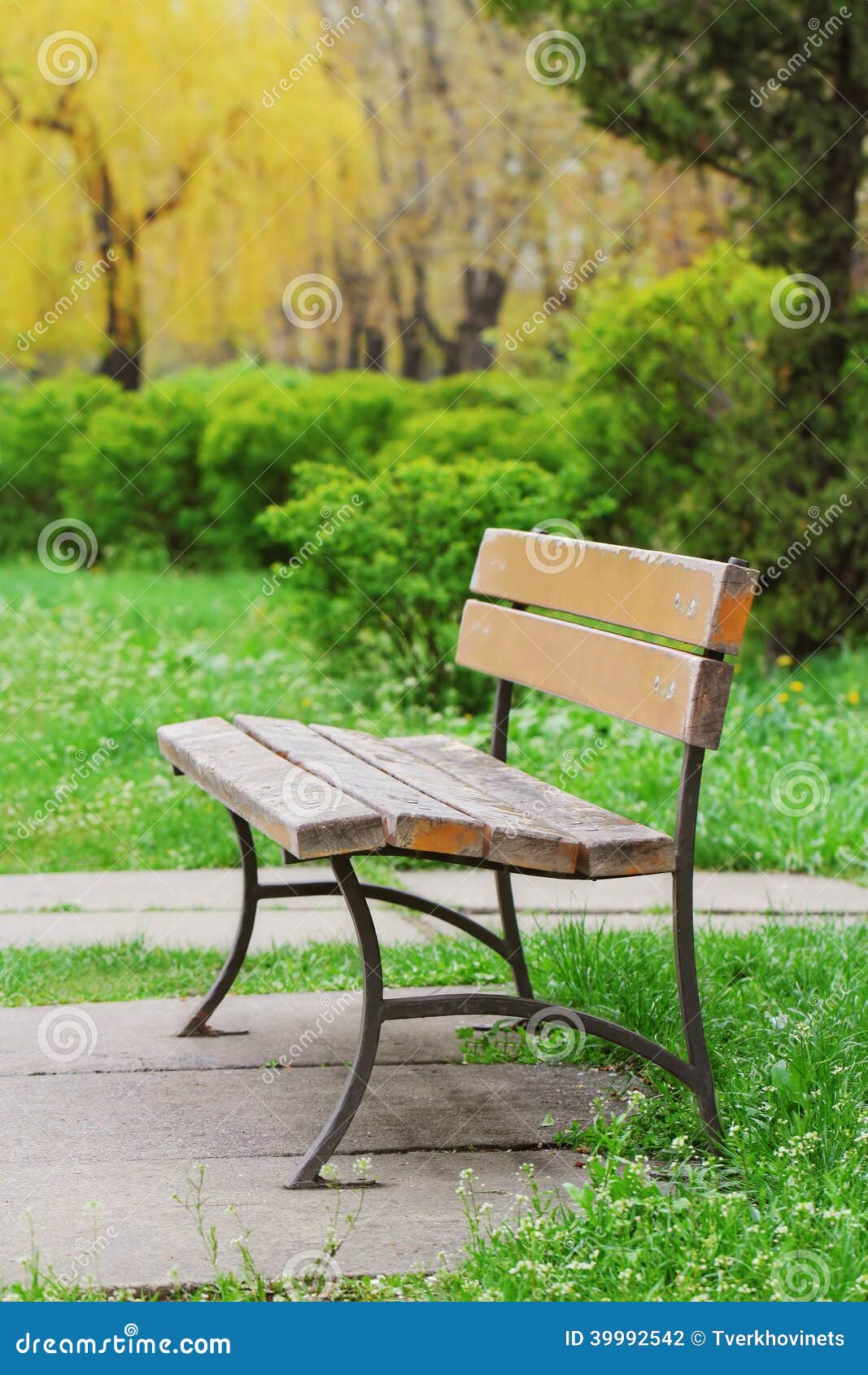 Lonely bench in the park stock photo. Image of planted - 39992542