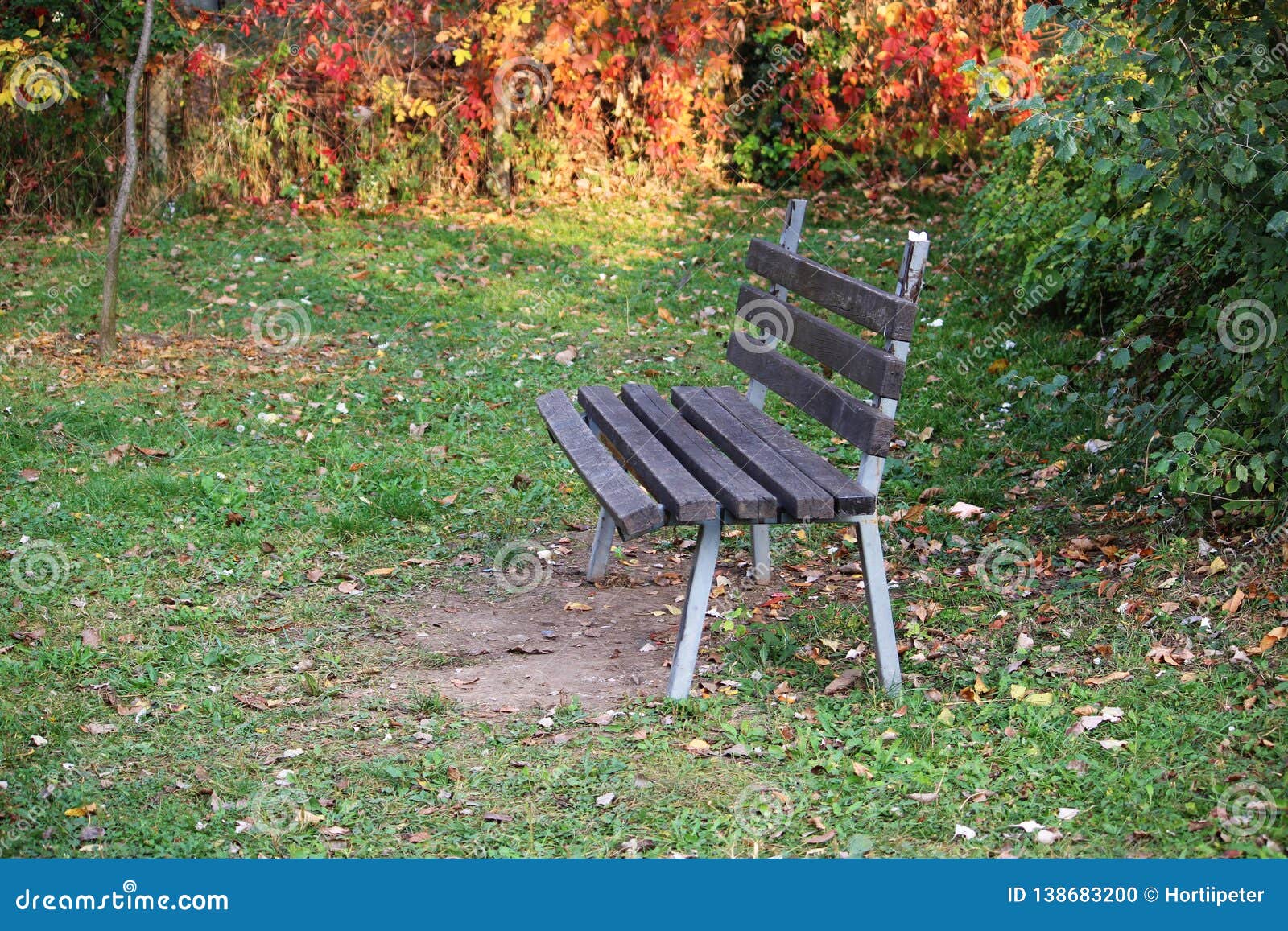 Lonely bench in the park stock photo. Image of blured - 138683200