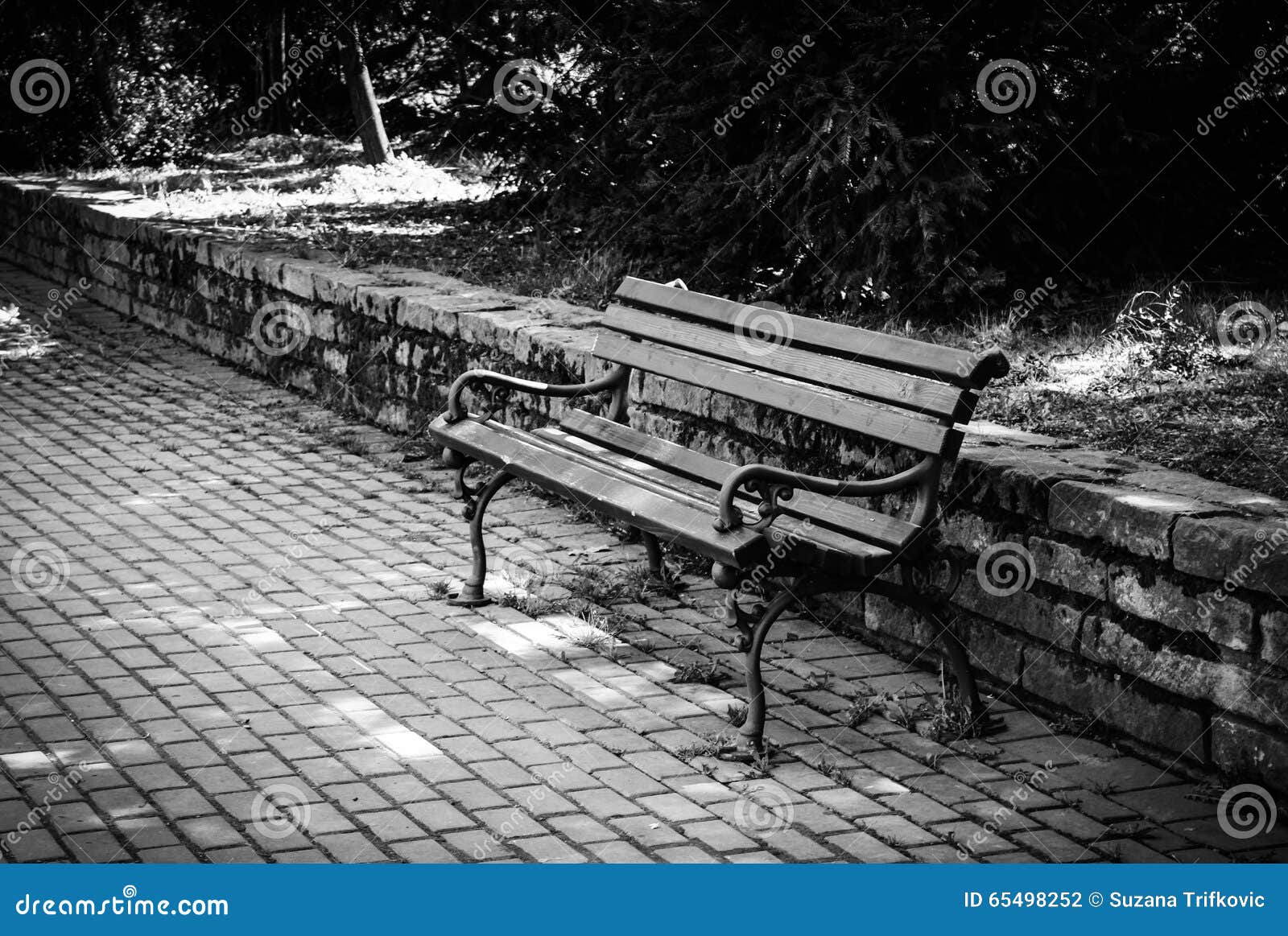 Lonely bench stock photo. Image of grey, bench, park - 65498252