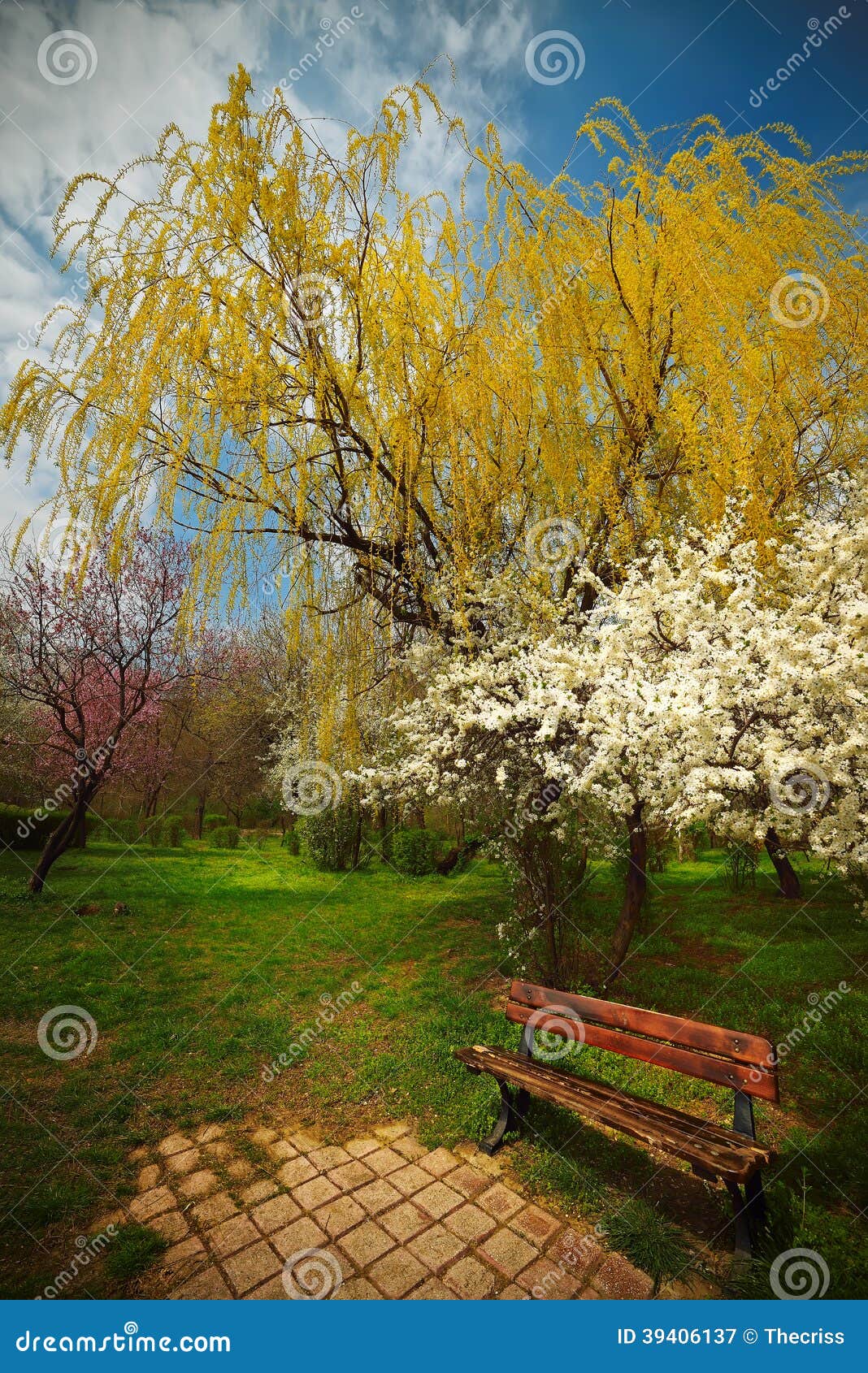 Lonely Bench in Park during Springtime Stock Image - Image of peaceful ...