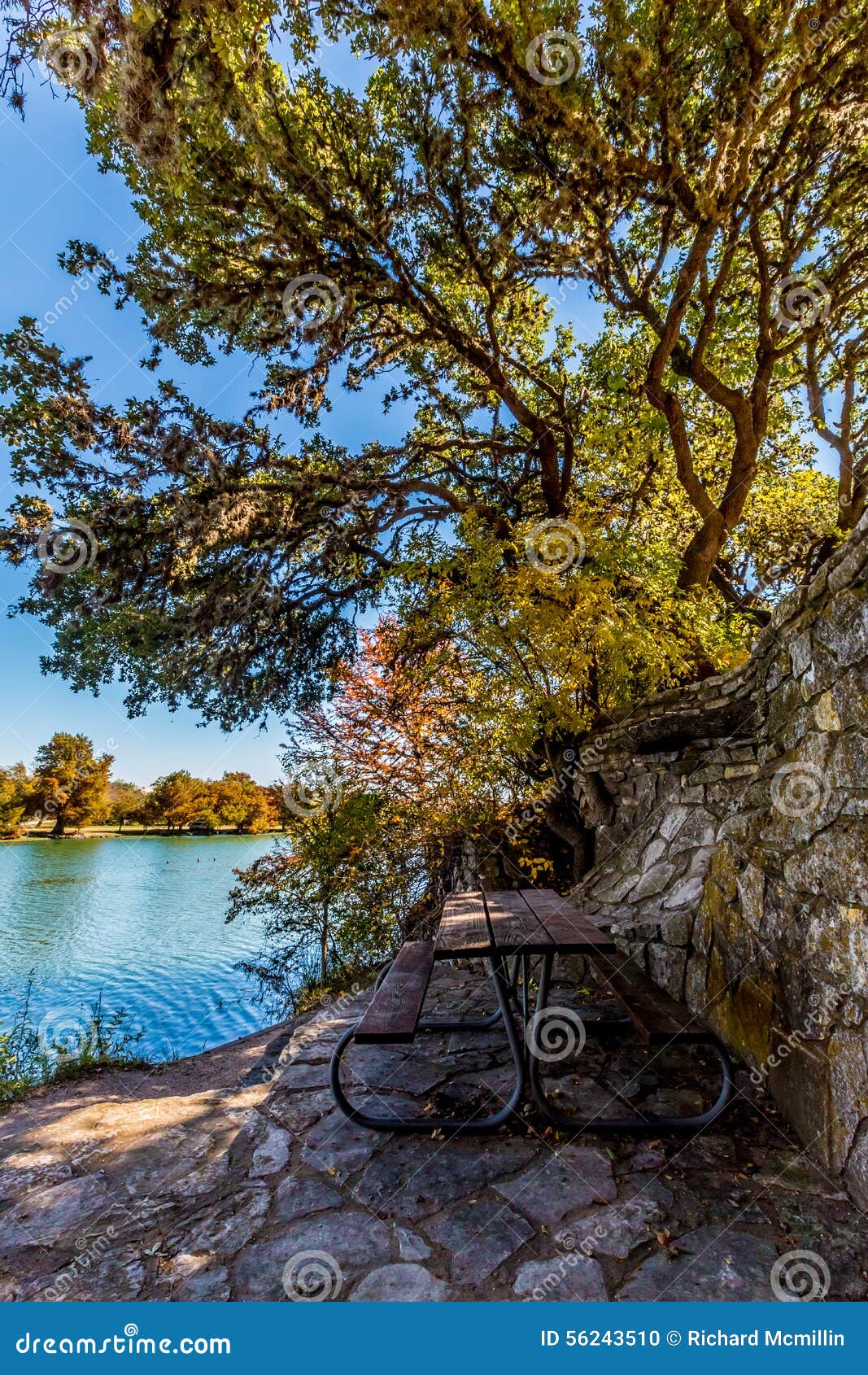 539 Waterside Bench Stock Photos - Free & Royalty-Free Stock Photos ...