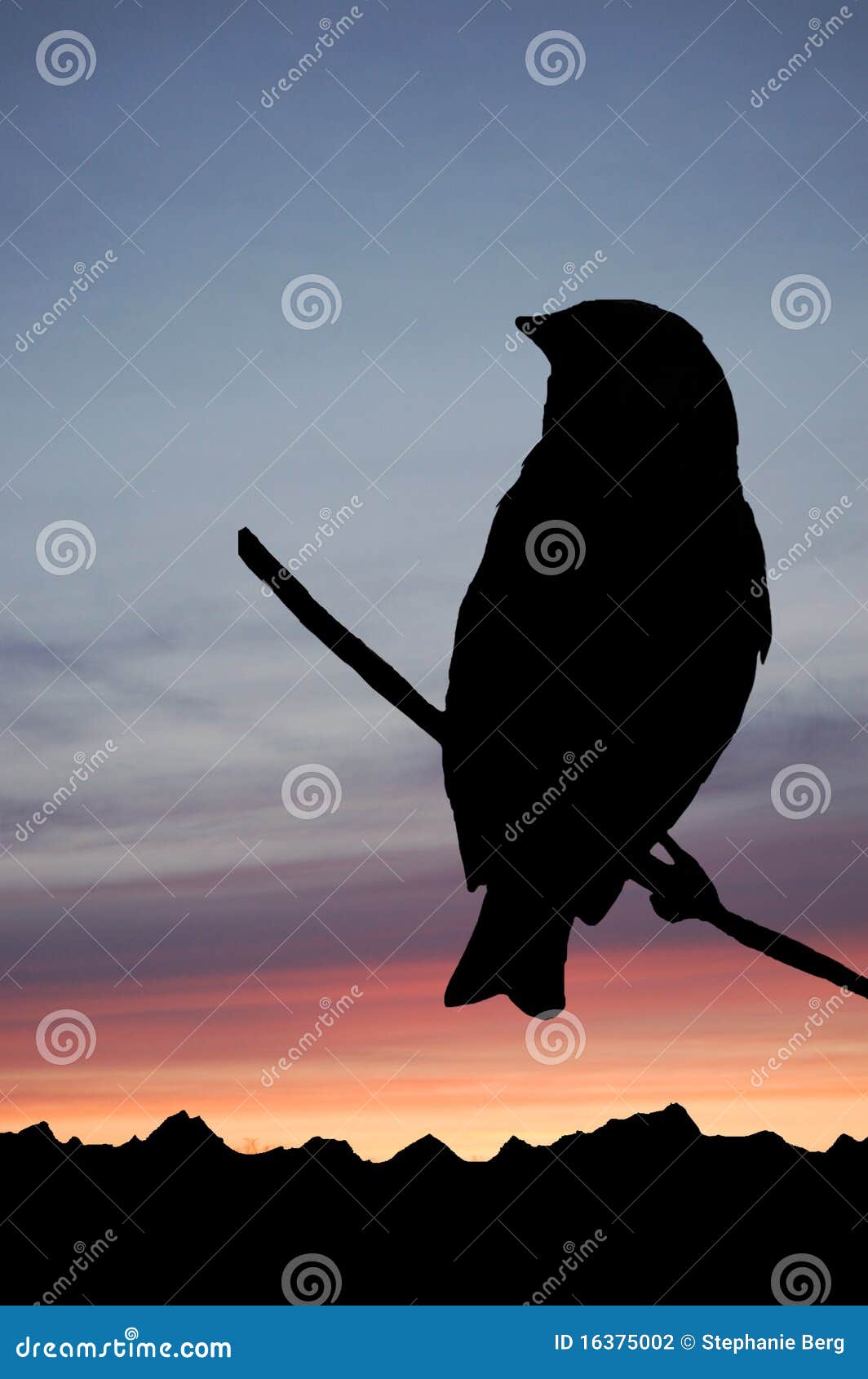 Lonely Bird at Sunset stock photo. Image of landscape - 16375002