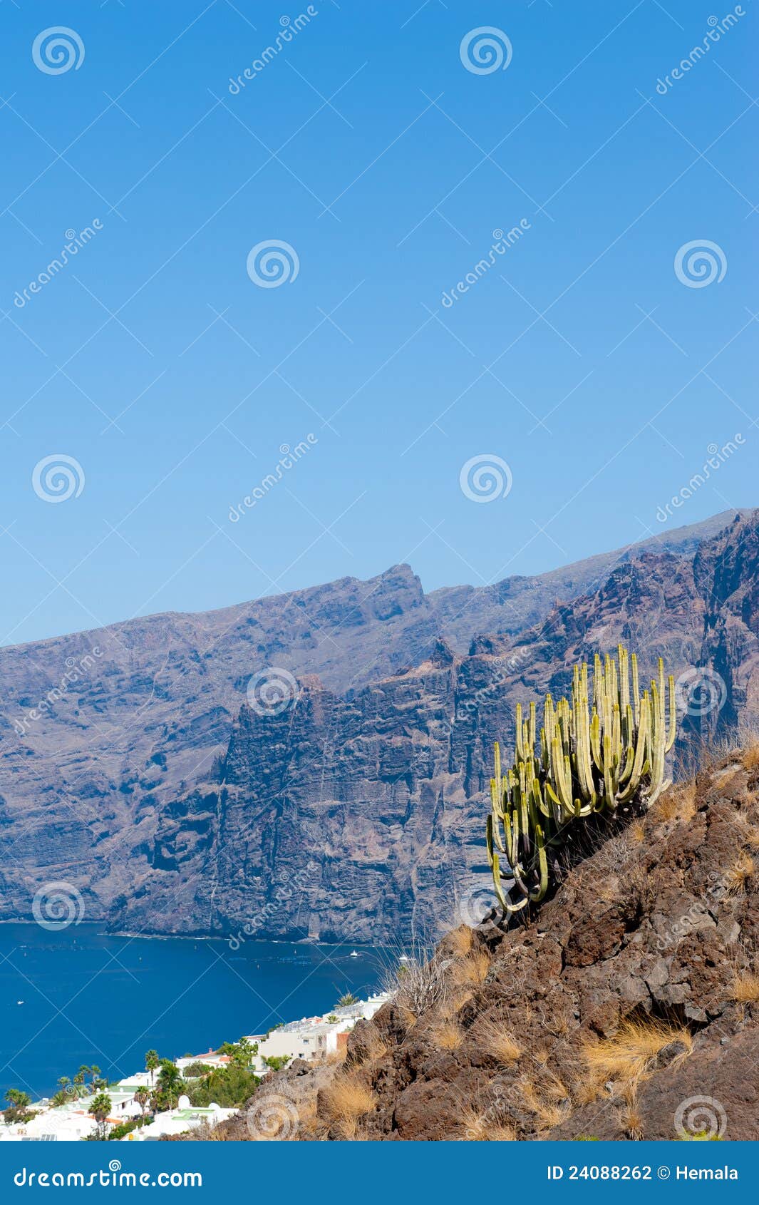 Lonely cactus stock photo. Image of saguaros, mountains - 24088262
