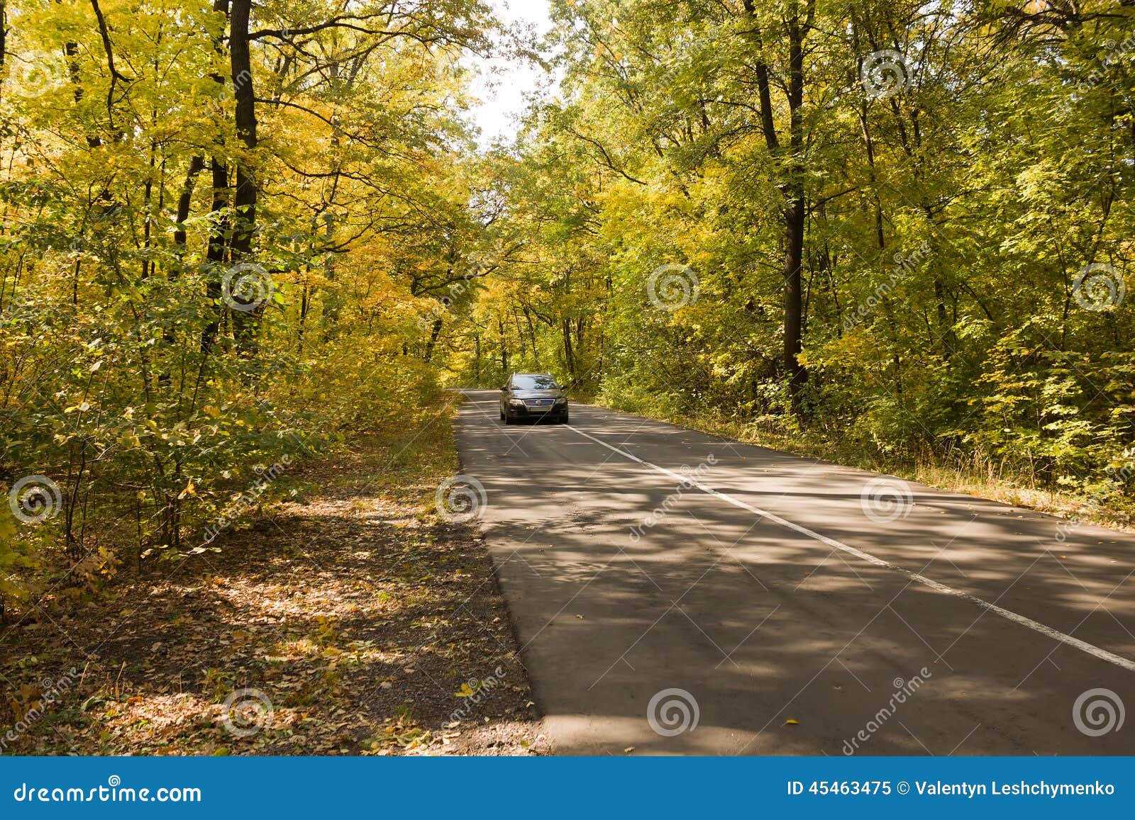 Lonely Car on a Deserted Forest Road Stock Image - Image of wide ...