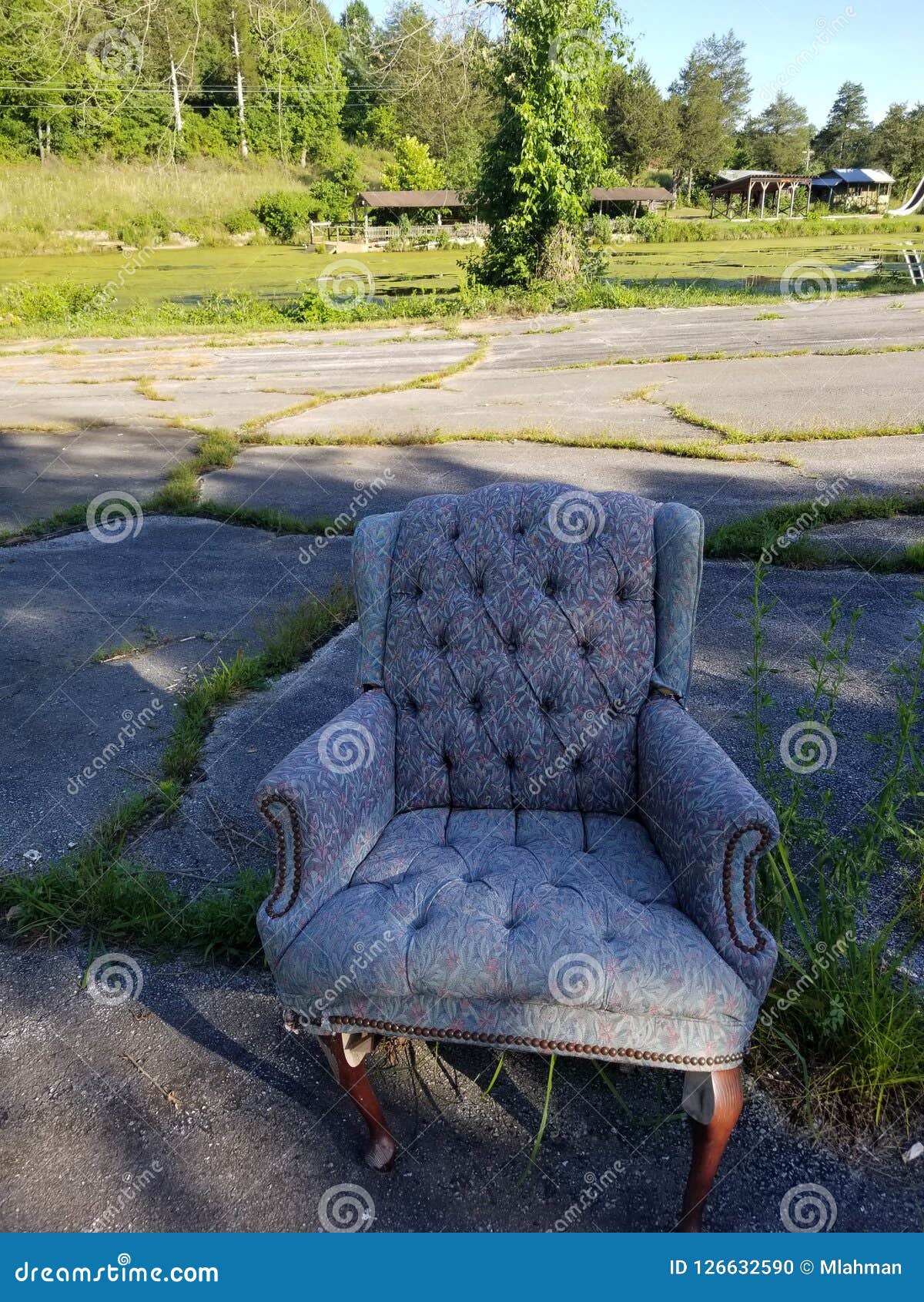 Lonely chair stock photo. Image of leave, chair, lonely - 126632590