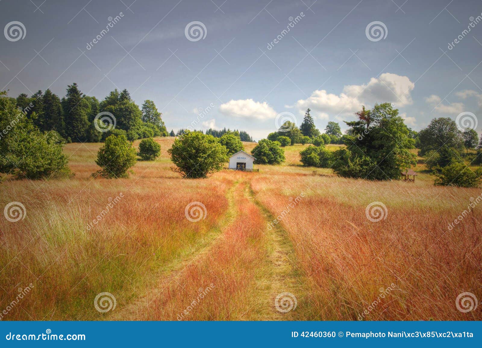 Lonely Chapel on Red Grass Field Stock Photo - Image of field, three ...