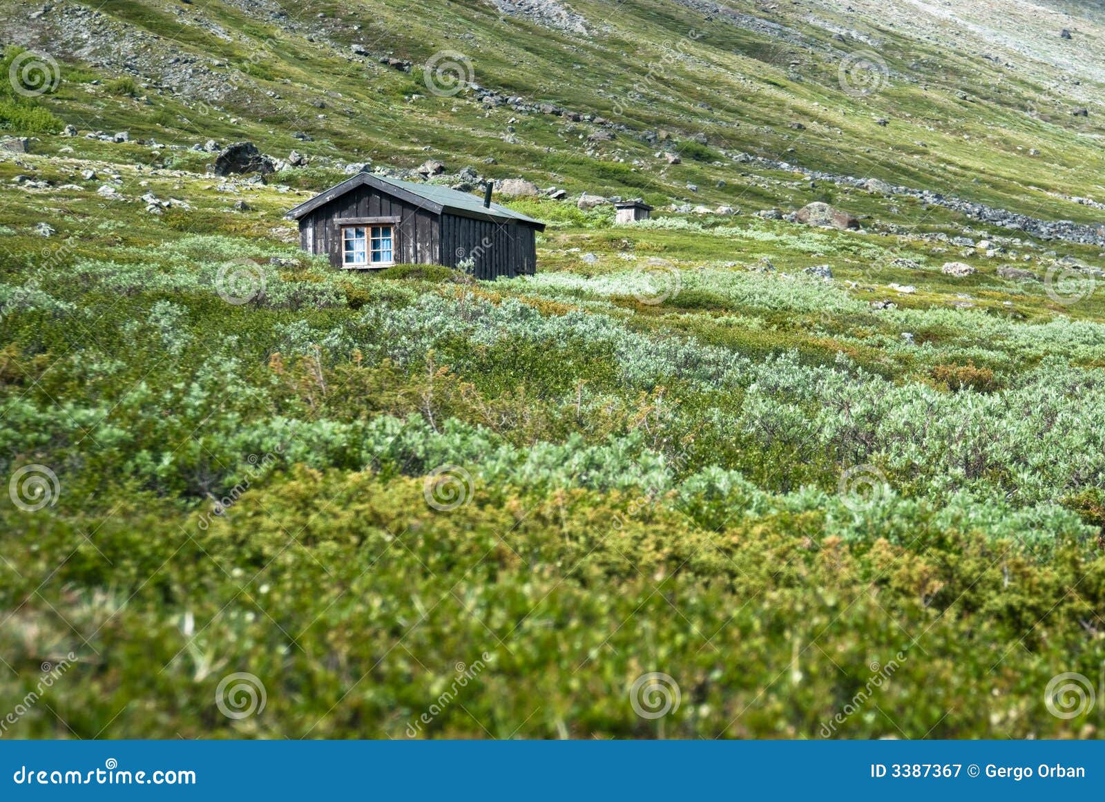 Lonely cottage stock image. Image of green, lodge, tundra - 3387367