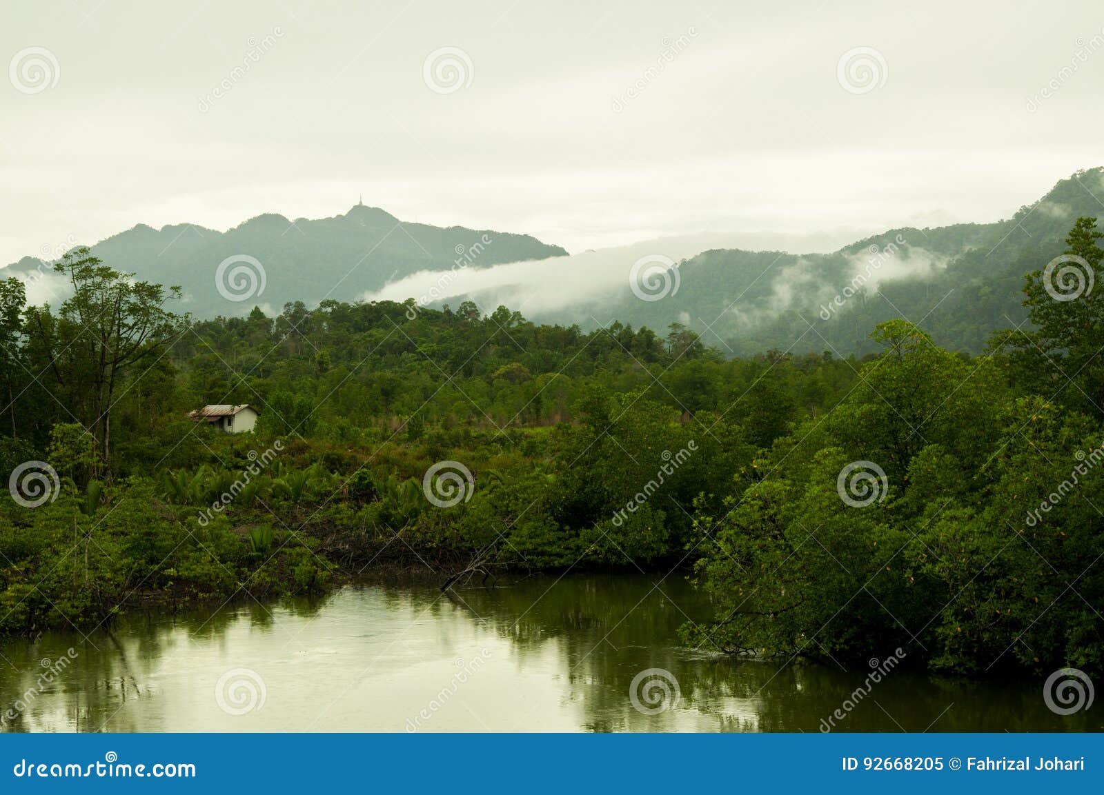 Lonely Cottage stock image. Image of forest, mountains - 92668205