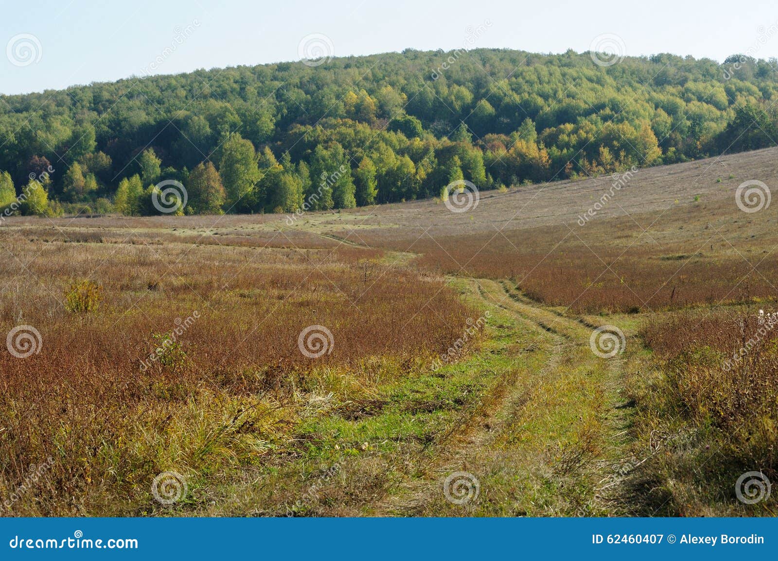 Lonely Country Path To Green Distant Forest Stock Image - Image of ...
