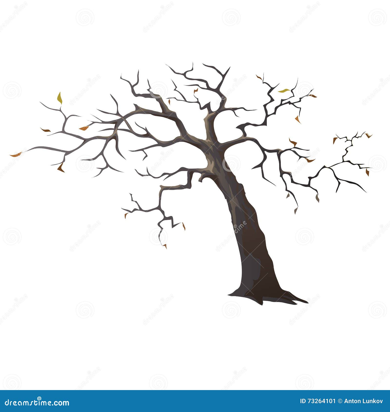 Lonely Old Deciduous Tree Isolated On White Background. Vector Cartoon ...