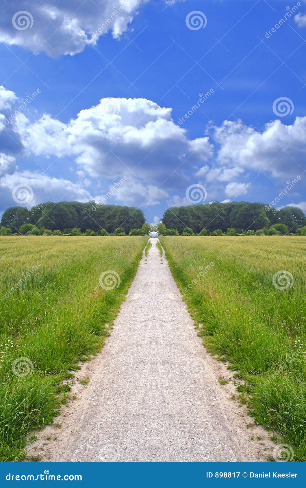 Dirt Path With Wood Fence Tall Grass On The Side Of Trail Royalty-Free ...