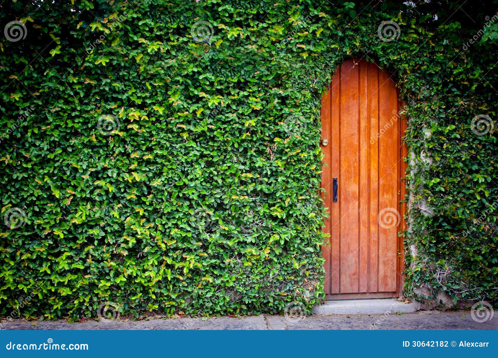 Lonely door stock photo. Image of input, small, exit - 30642182