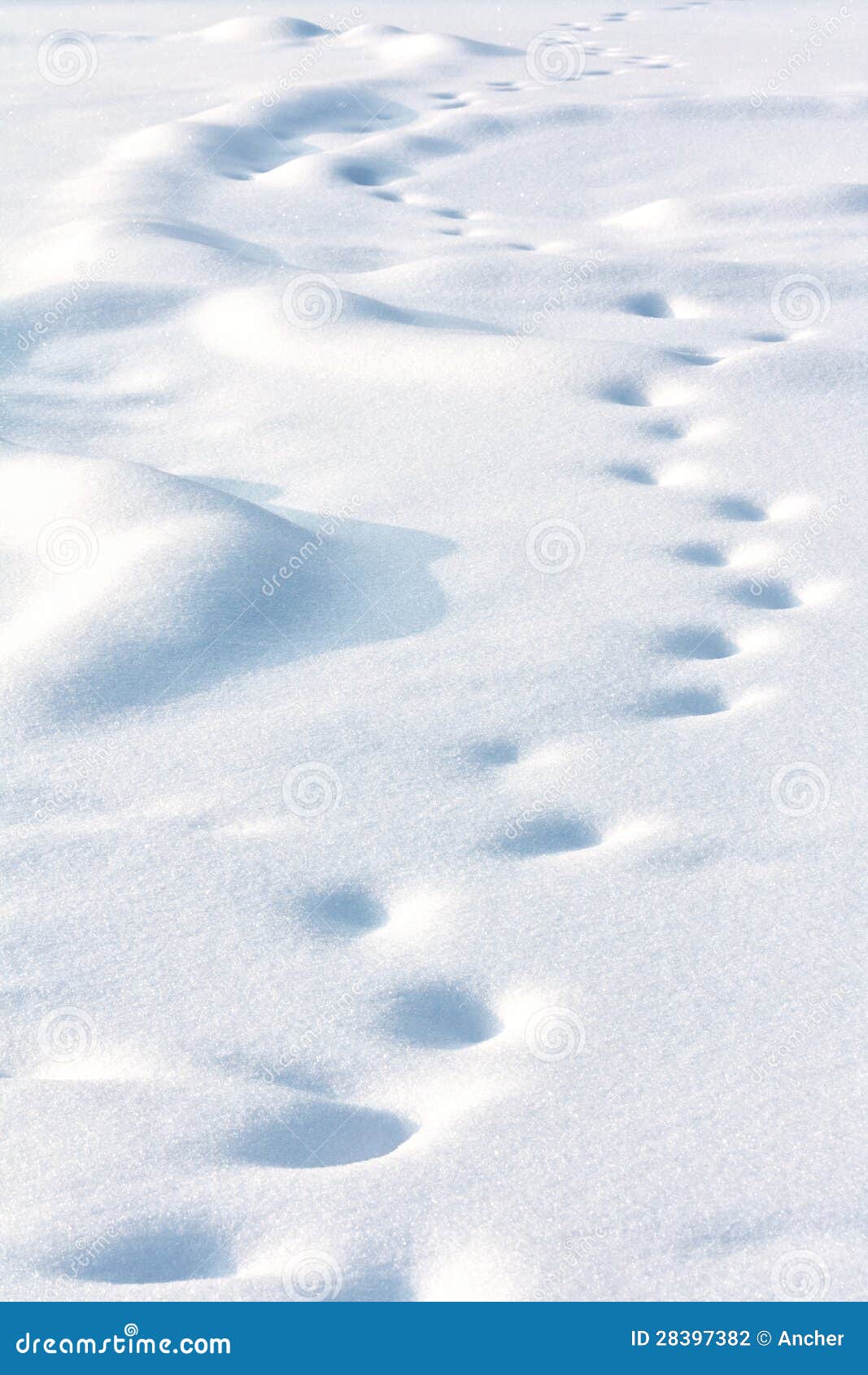 Lonely Drifted Tracks on White Snow Stock Photo - Image of freeze ...