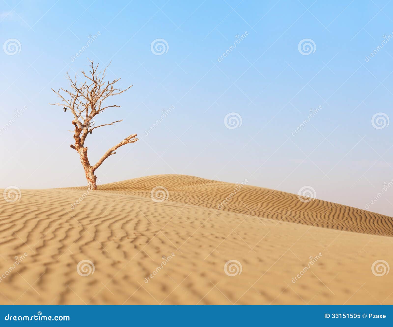 Sand Desert Texture Stock Photo | CartoonDealer.com #22268298 Sand Desert Texture Stock Photo | CartoonDealer.com #22268298